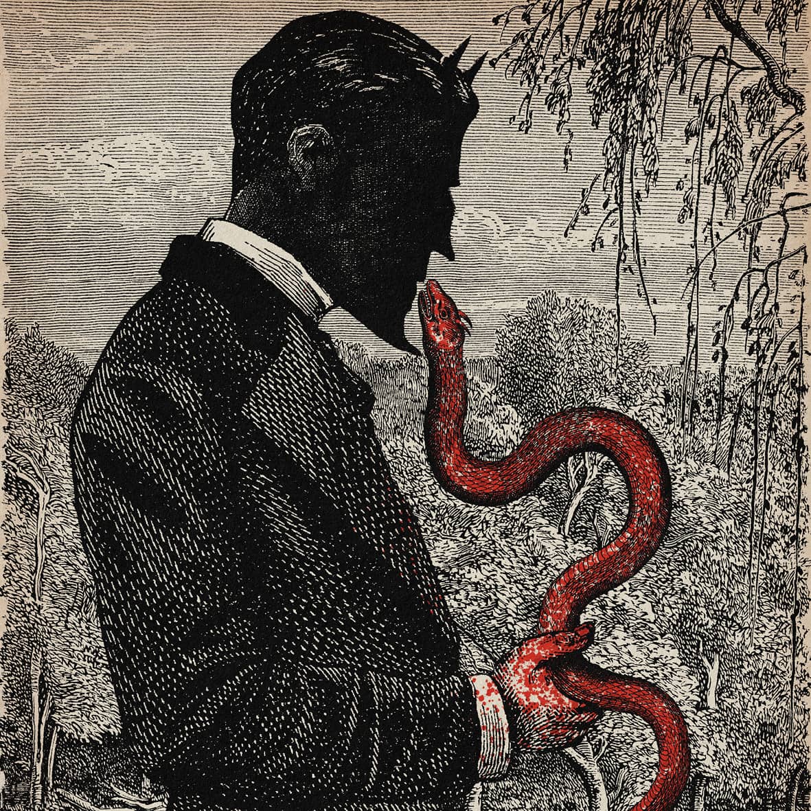 all artbooks – The Mansion Press