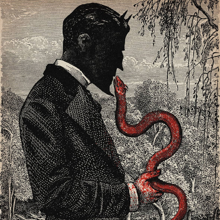 Original Arts, Artbooks, and Comics | The Mansion Press